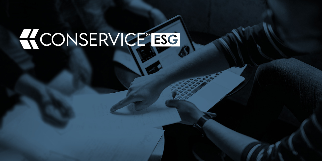 ESG Consulting - Strategic support for ESG initiatives